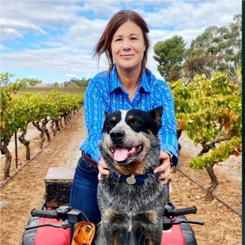 About Me | Vine Scout